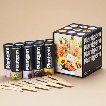 Flower Seeds – Plantgem