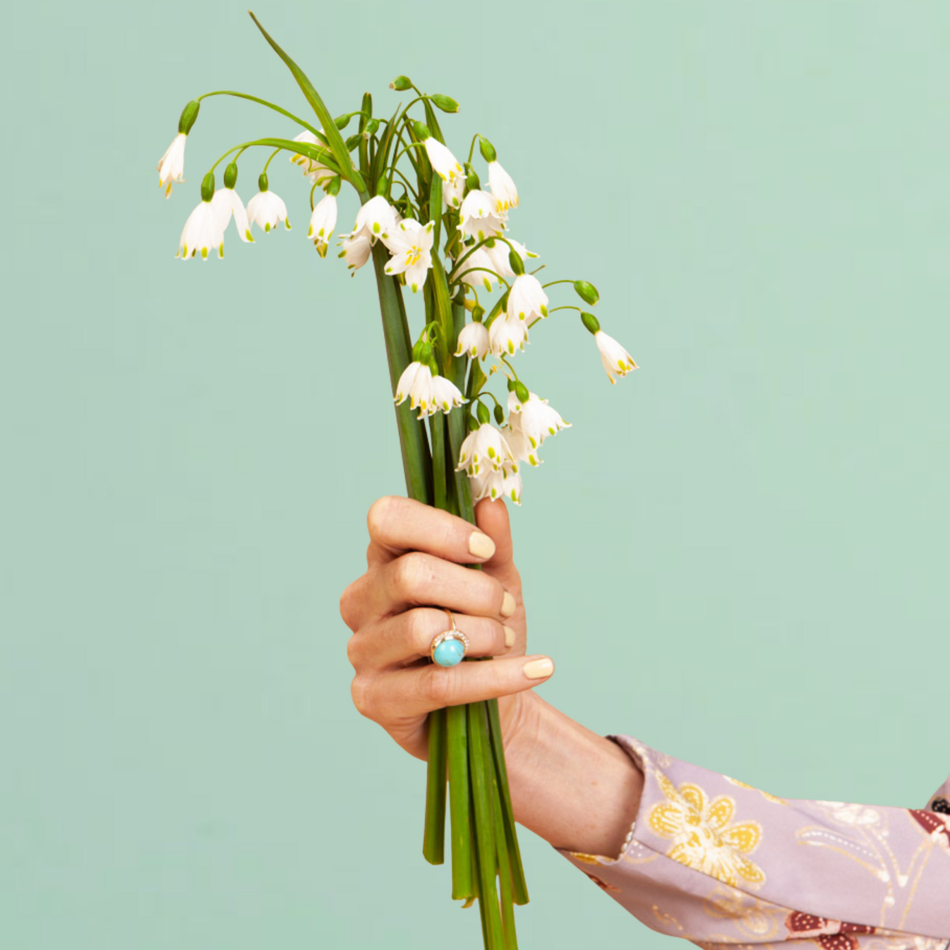 Snowflake Aestivum Giant | 12 Bulbs | Plantgem