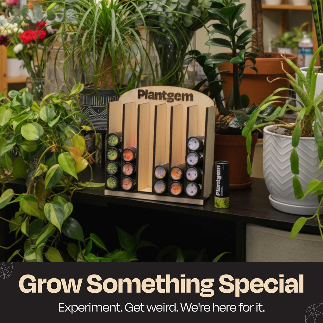 Seed Tube Display Rack – Plantgem