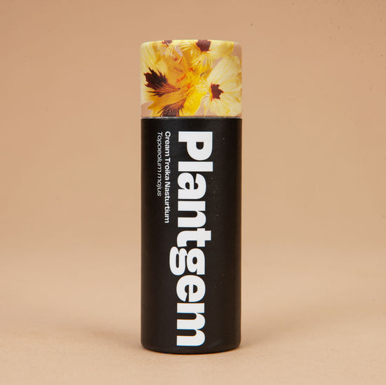 Cream Troika Nasturtium Seeds | Plantgem