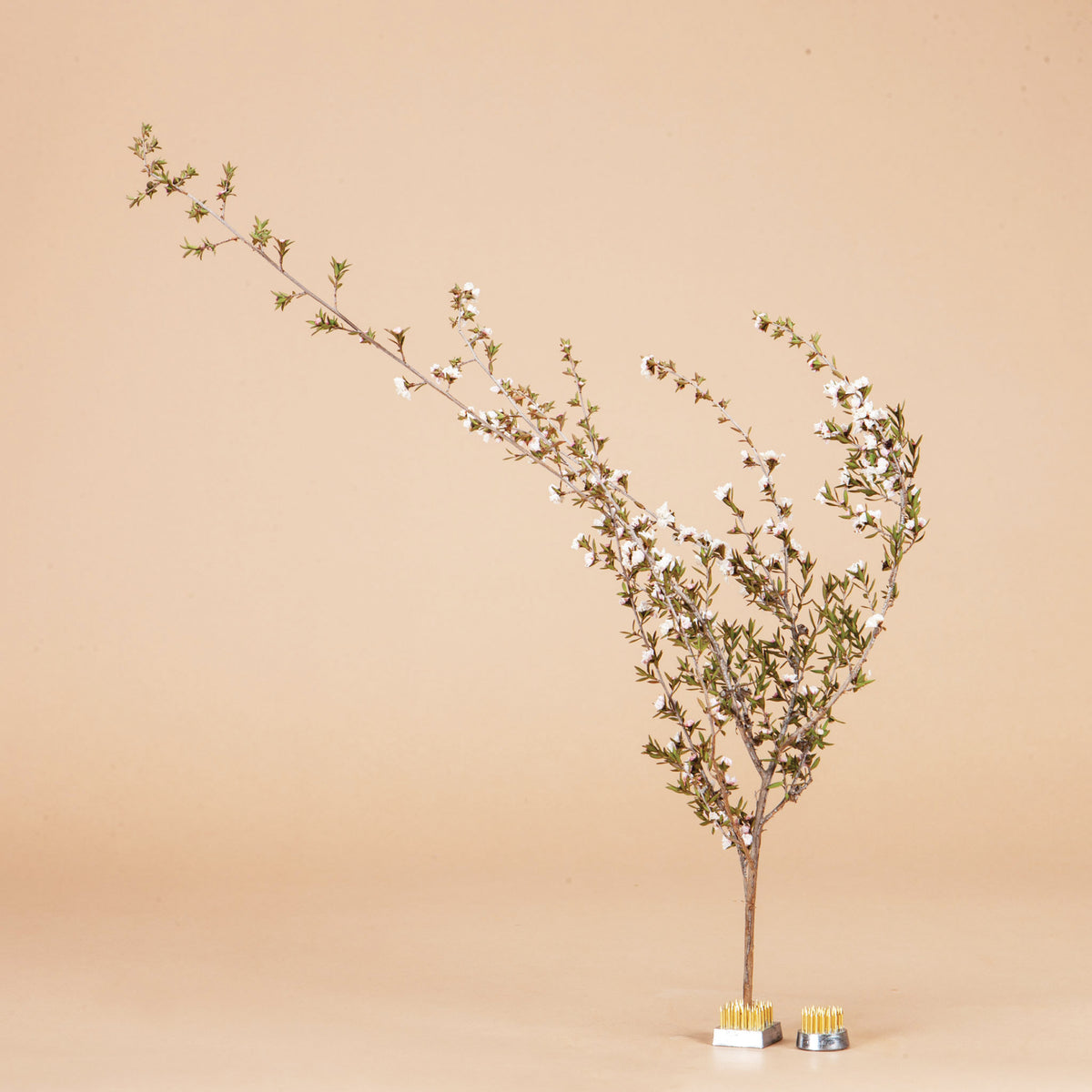 Mini Kenzan Set of 4 | Plantgem