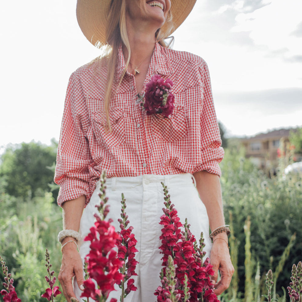 Potomac Royal Snapdragon Plants | Plantgem