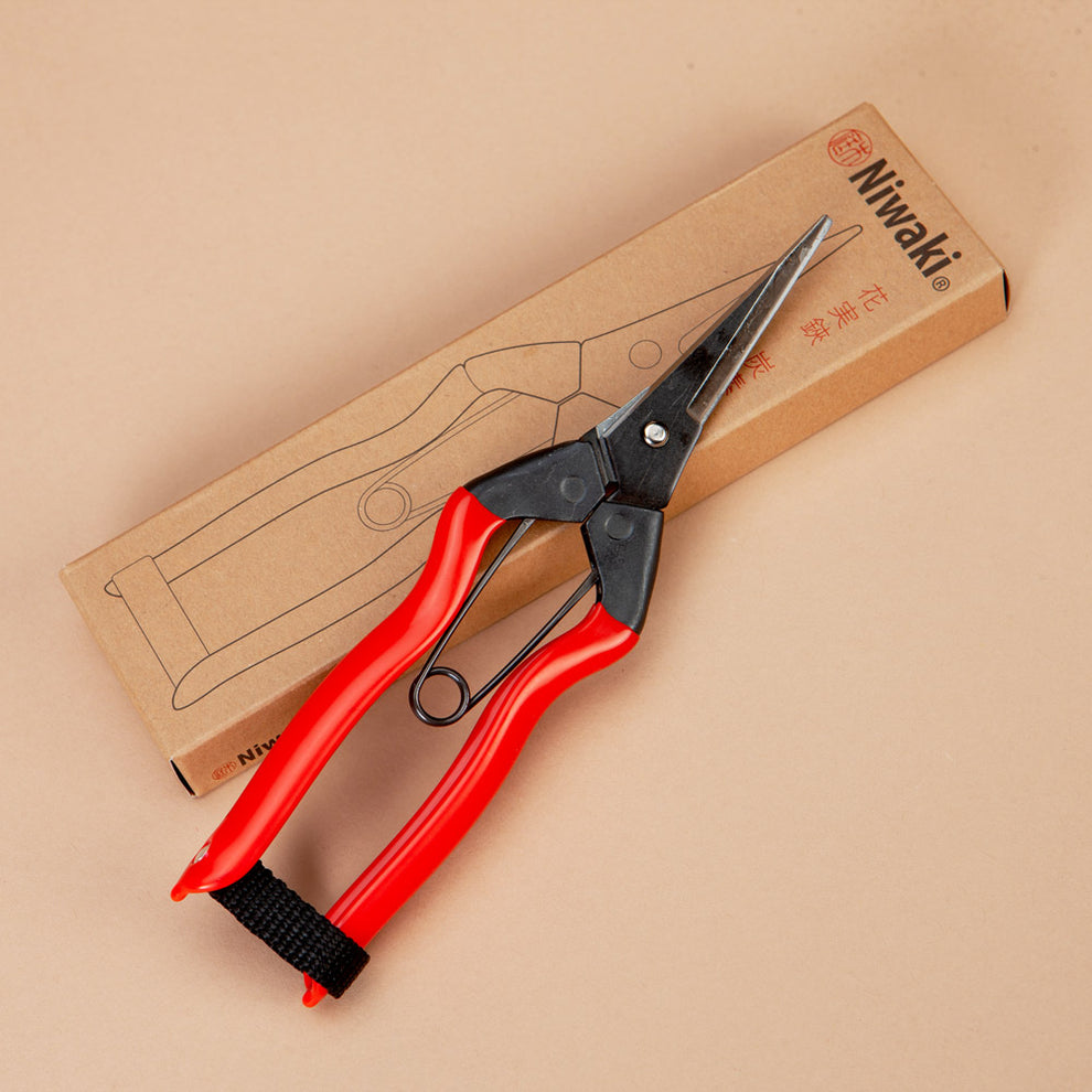 Garden Snips – Plantgem